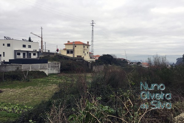 Nuno Oliveira da Silva